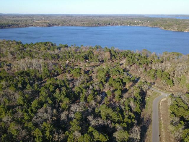 3729 Pine Wood Way, Larue, US, TX
