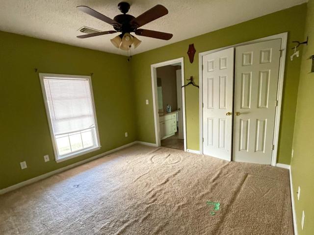 3721 Greenbrook Drive