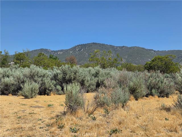 37230 Bautista Canyon