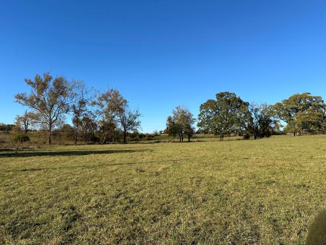 3723 Cynthiana Road