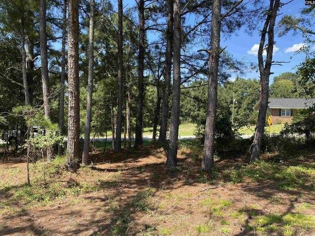 3734 B Stoney Hill Rd, Prosperity, SC 29127
