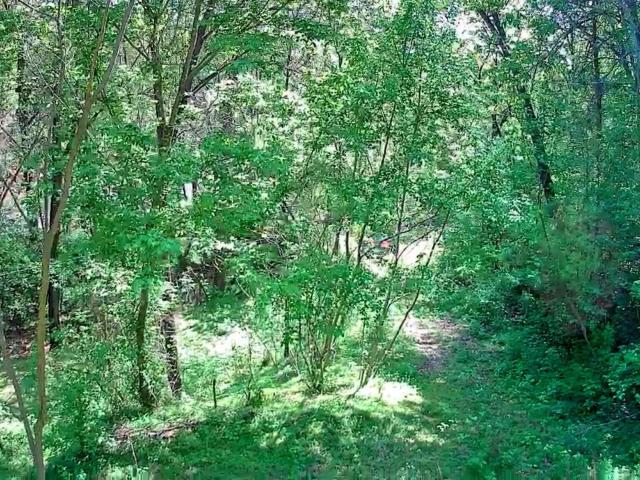 3734 Highway 41 Trail