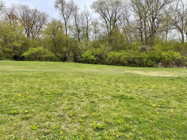 3734 Thunderbird Lane