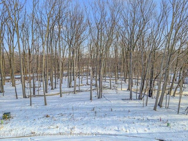 3735 Crane Cir, Okemos, MI 48864