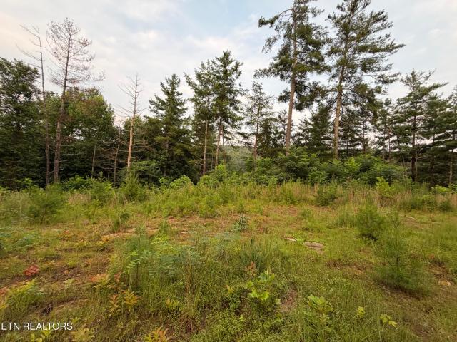3739 Green Corner Rd