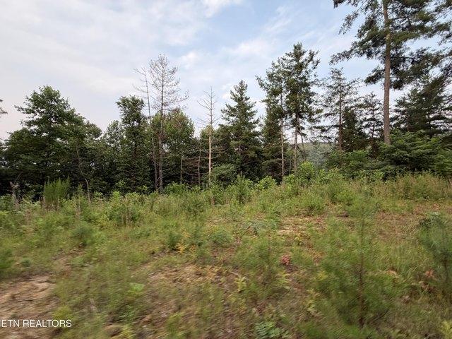 3739 Green Corner Rd, Hartford, TN 37753