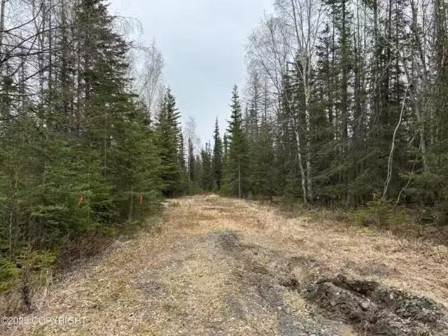 37322 SUMMER PL, STERLING, AK 99672 Vacant Land For Sale MLS#.