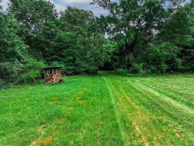 3732 US Highway 84