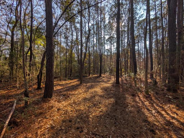 3733 N Highway 17 Highway Tract 2
