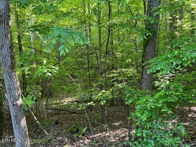 373 375 Beta Dr, Spring City, TN 37381