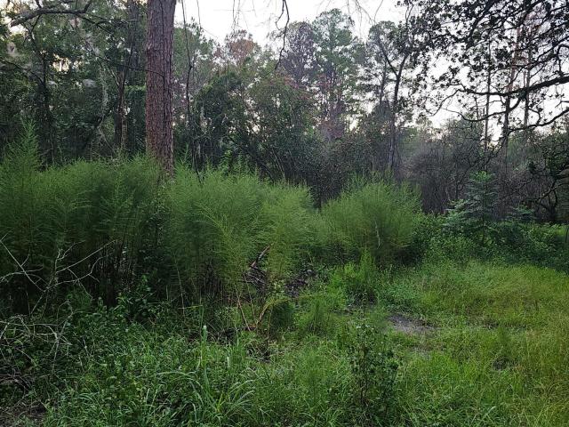 373 Carl Burney Road