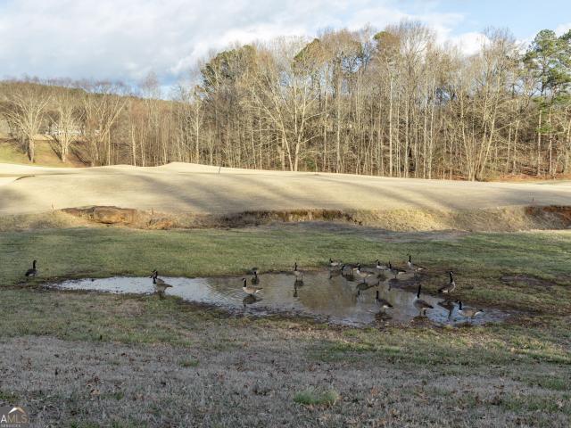 373 McIntosh Rd, Clarkesville, GA 30523 | MLS #10681