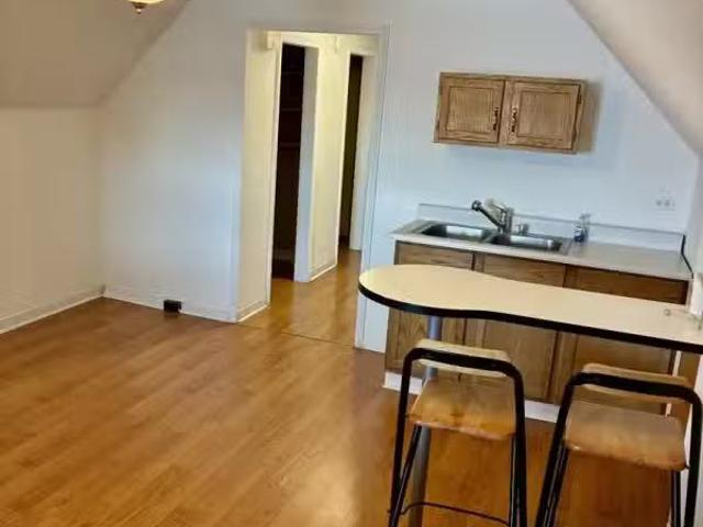 3745 W Diversey Avenue, ATTIC, Chicago, IL 60647