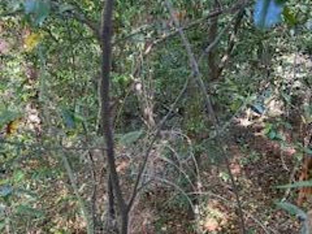 3746 Overlook Ave, Macon, GA 31204 | MLS #183807 | Compass