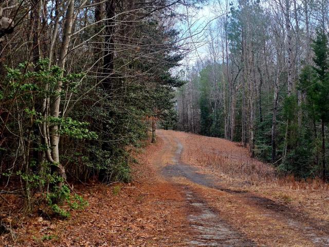 3746 Enos Rd, Gloucester, VA 23061 | MLS #VAGV2000 | Compass