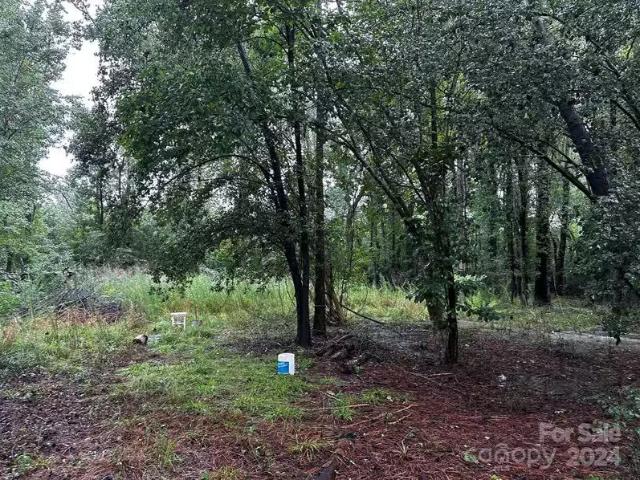 3747 Sam Jones Rd, Patrick, SC 29584 MLS 4162040
