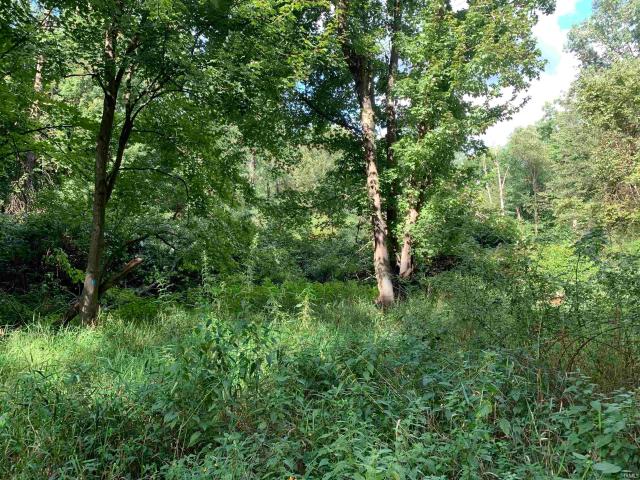 3741 N Thorn Rd, Walkerton, IN 46574 | MLS #202534