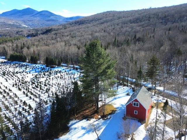 374 Crank Rd, Bloomfield, VT 05905