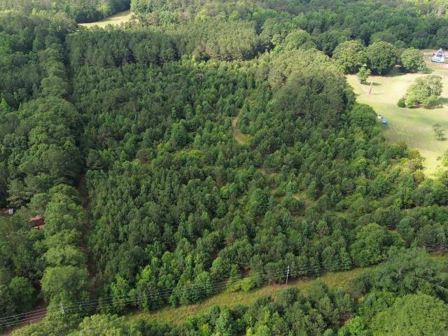374 A Luther Bailey Rd, Senoia, GA 30276 | MLS #10702