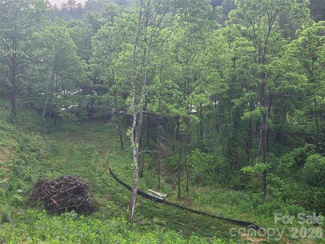 374 Big Branch Dr Lot 2D, Mars Hill, NC 28754