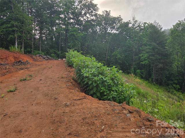 374 Big Branch Drive # Lot 2 D