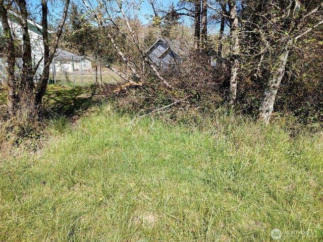 374 MT Olympus Ave SE Lot 122, Ocean Shores, WA 98569