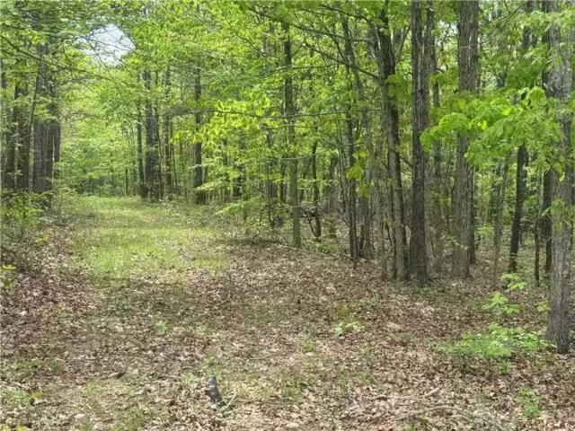 3754 NEWTON 3050 RD, JASPER, AR 72641 Vacant Land For Sale ML.