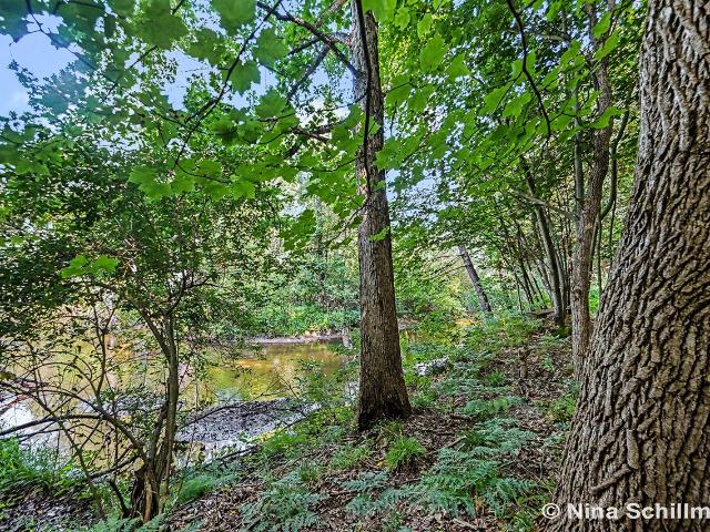 3754 E White River