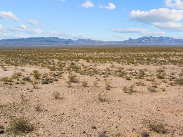 3750 Ives Dr, Unit 75, Golden Valley, AZ 86413 | MLS #6795