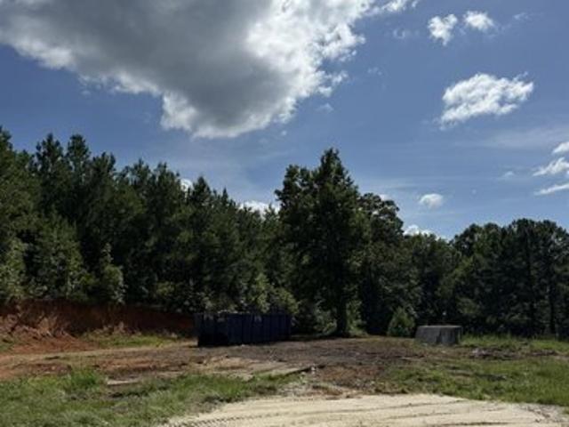 375 County Road 779 Lot 0, Jemison, AL 35085