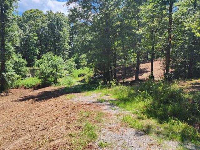 375 Goins Hill Rd, Ten Mile, TN 37880