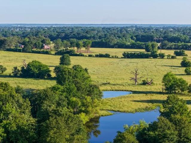 3765 Poteet Rd, Normangee, TX 77871