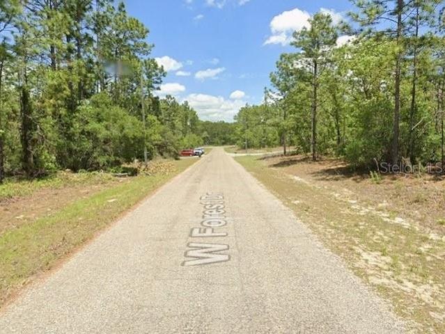 3765 W Forest Dr, Citrus Springs, FL 34433