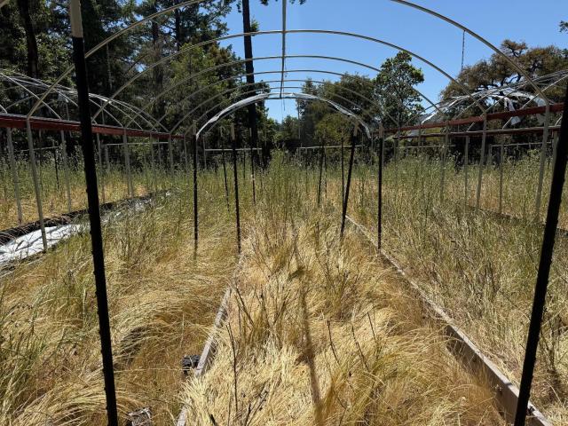 37600 Highway 101, Willits, CA 95490 | MLS #326030