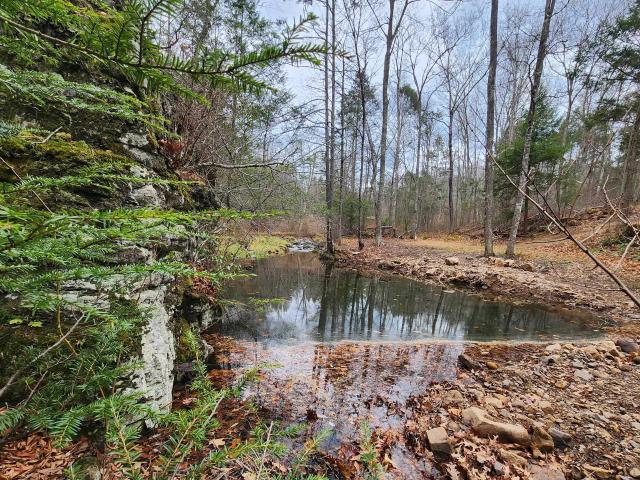 3763 potomac river rd