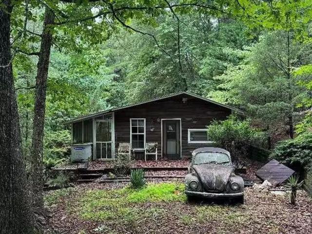 376 Mountain Top Drive, Blue Ridge, GA 30513 654335924
