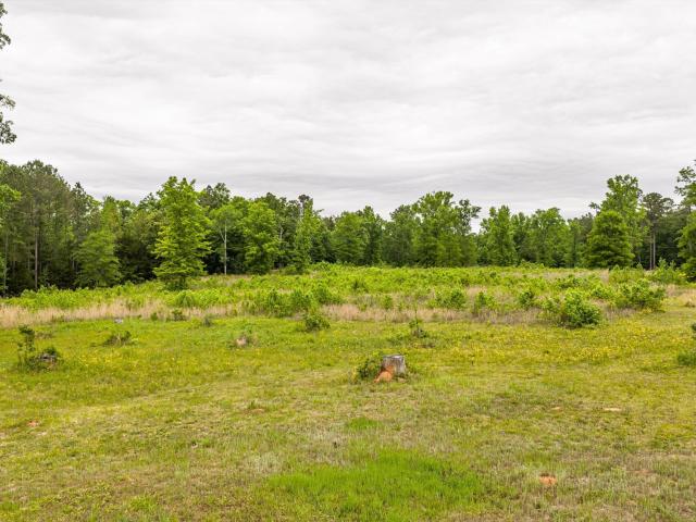 3776 Mt Zion Church Road