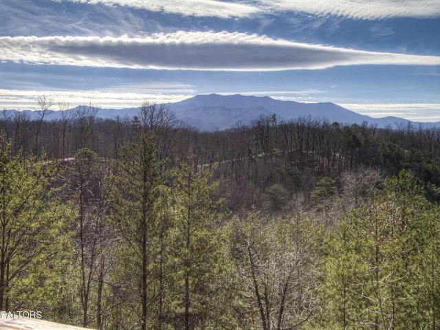 3779 Old Mountain Rd