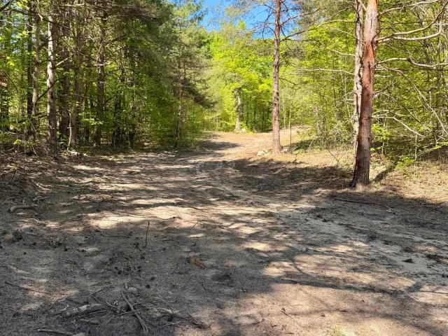 3779 Scholl Road