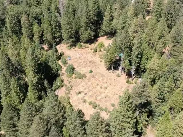 3772 TIN RANCH RD, GEORGETOWN, CA 95634