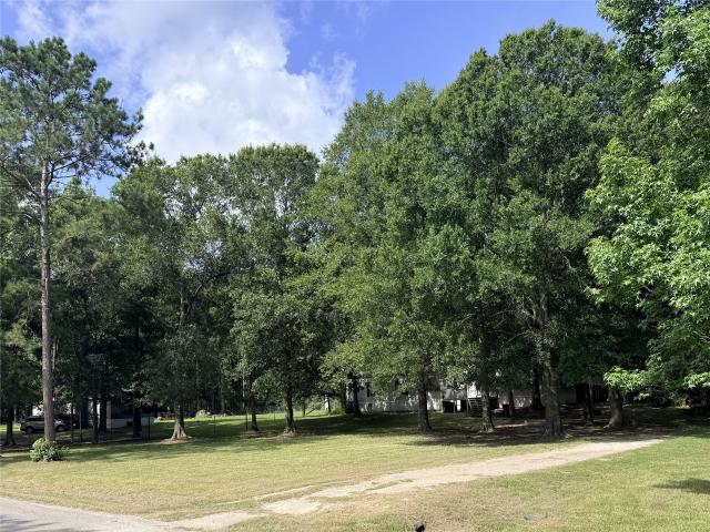377 County Road 3798