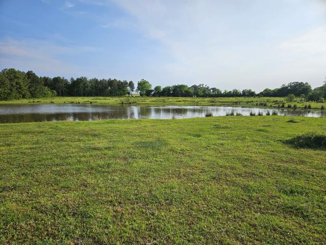 377 Farm to Market Road 3179, Huntsville, TX 77340 | MLS #30030 | Compass