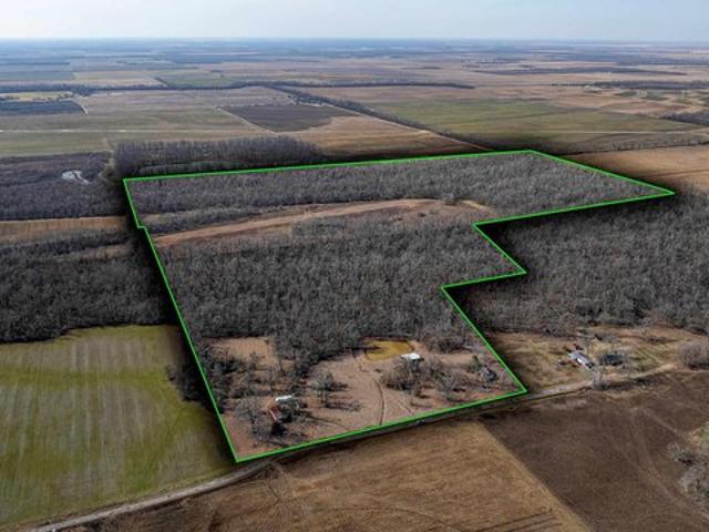 377 McPherson Lot 113 60 Acs/Tracts 2 Rd Parcel 100001 and 3, Epps, LA 71237