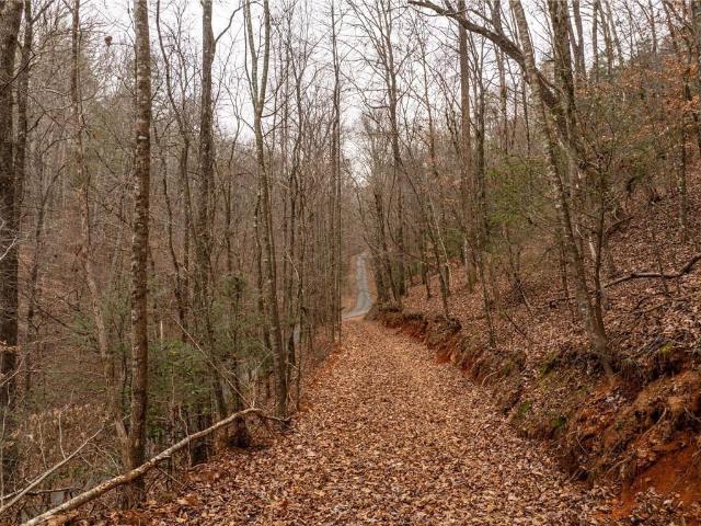 377 Soldiers Path