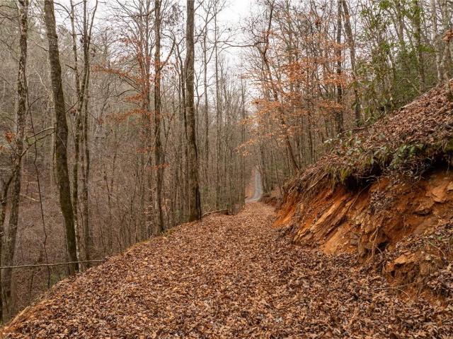 377 Soldiers Path