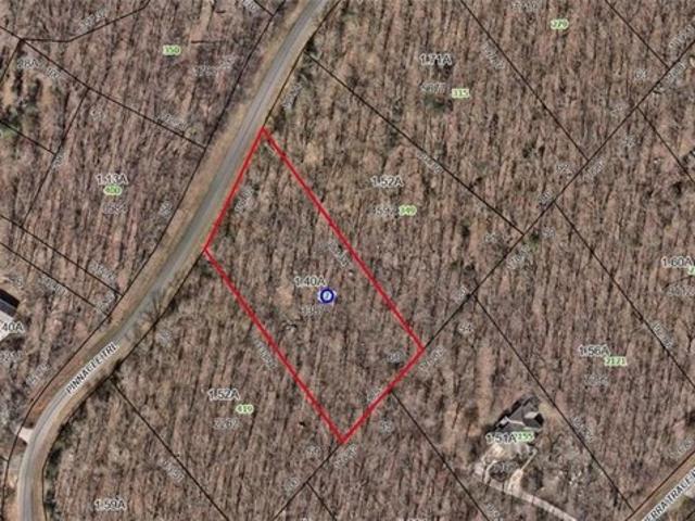 377 Pinnacle Trl, Denton, NC 27239