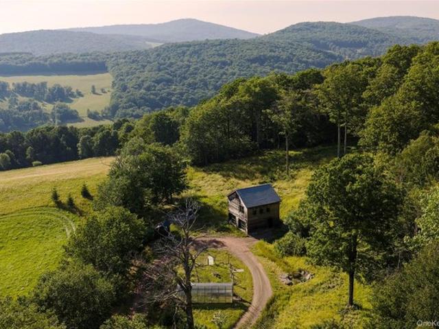377 Reinertsen Hill Rd, Bovina Center, NY 13740