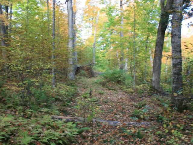 377 University Dr Parcel 3, Iron River, MI 49935