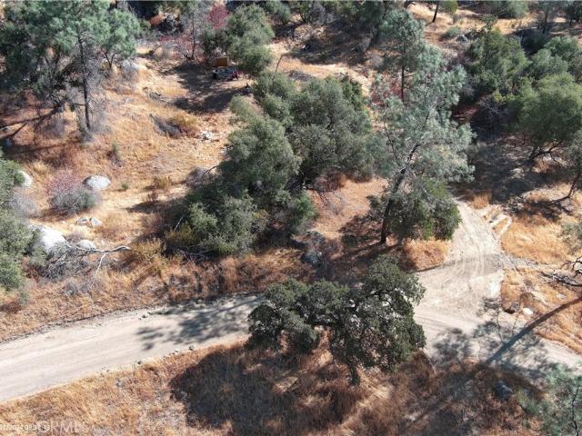 3786 Bronco Hollow Rd