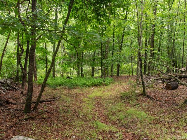 3789 State Route 52